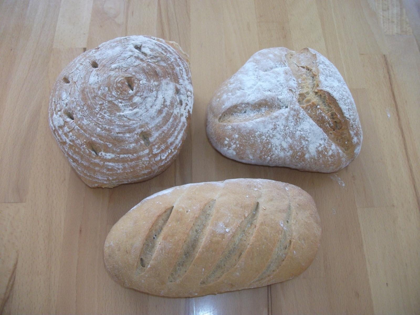 Brot / Holzofen-Gebäcke: genetztes Dinkelbrot, Bauern-Laible, Brot in ...