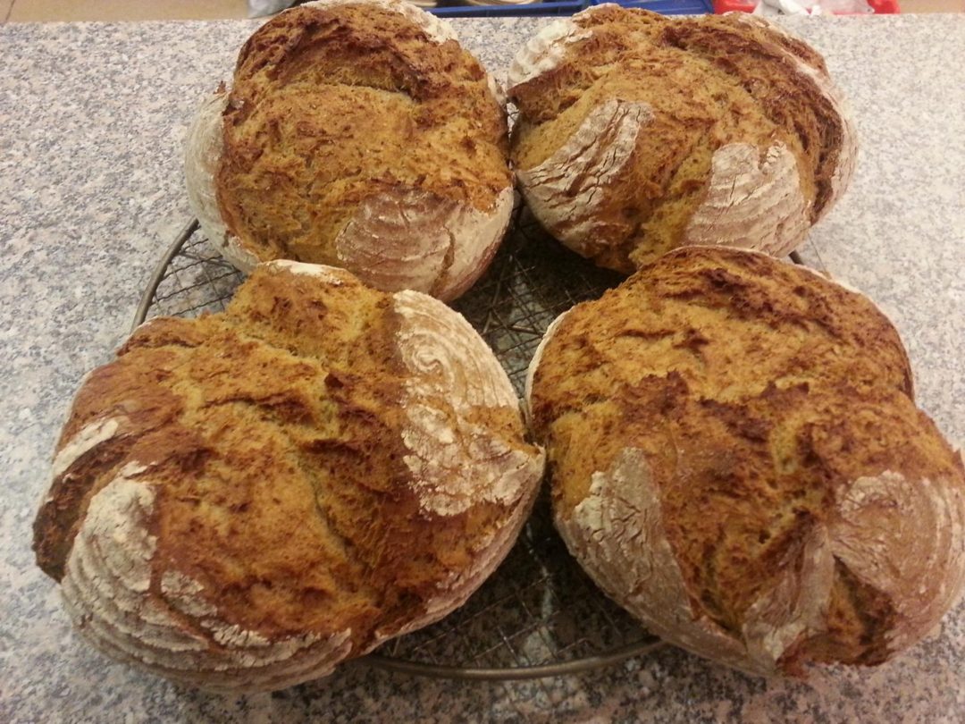 Brot / Holzofen-Gebäcke: genetztes Dinkelbrot, Bauern-Laible, Brot in ...